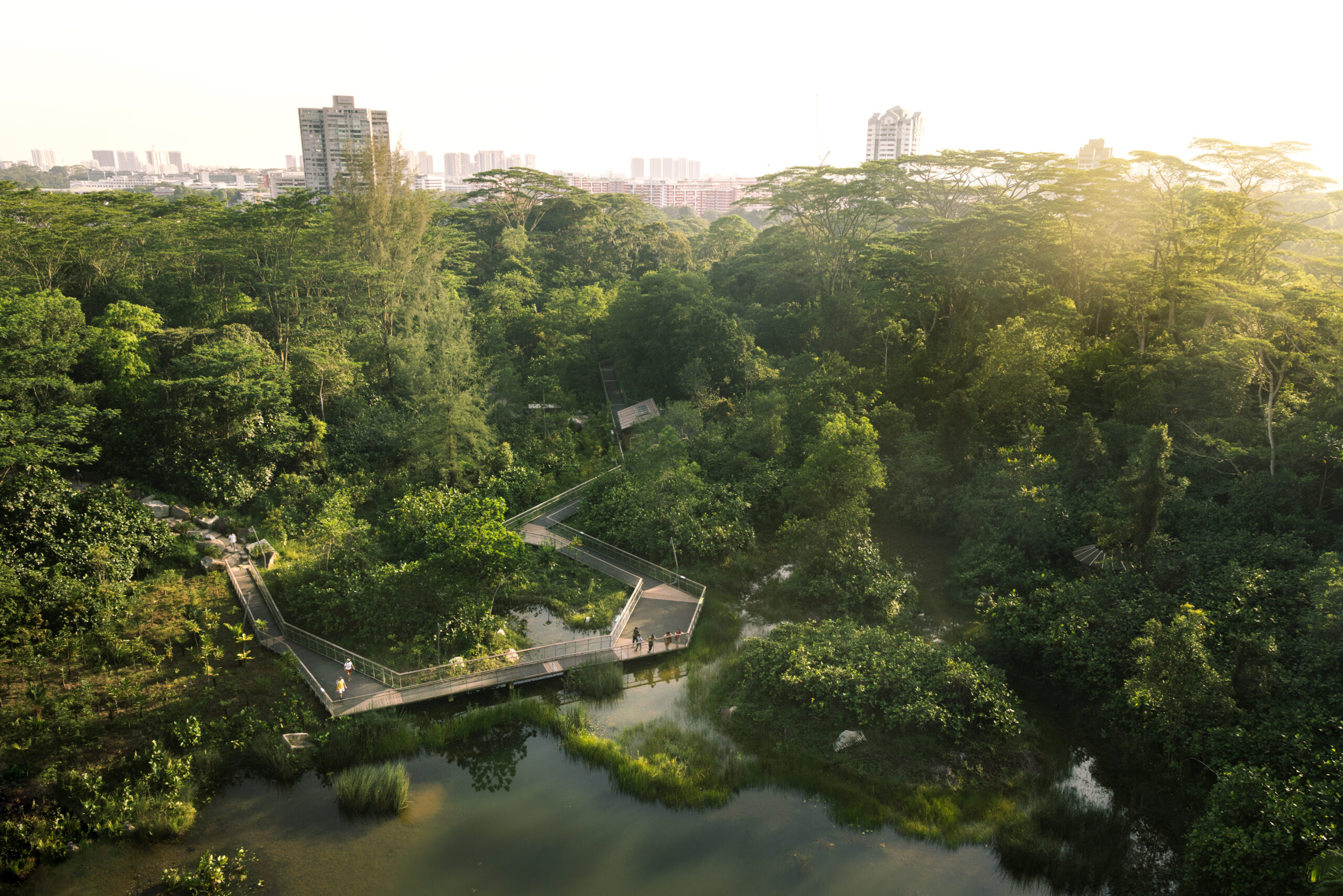 The Iconic Rifle Range Nature Park – Design Business Chamber Singapore